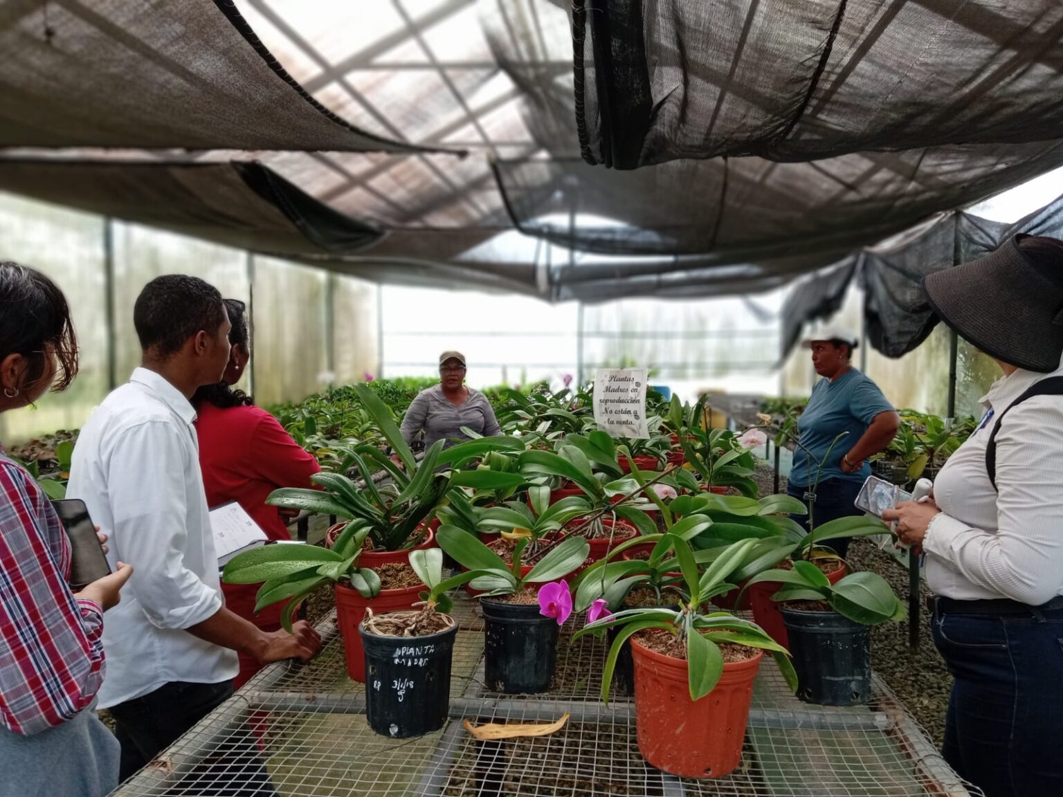 Ministerio de Desarrollo Agropecuario | MIDA – República de Panamá