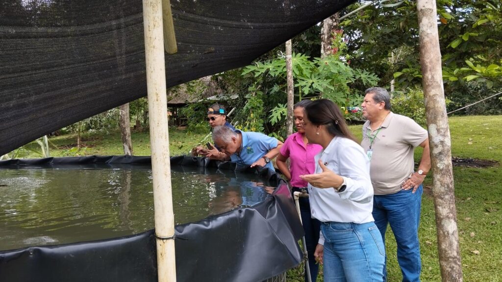 55 familias se benefician con escuela de campo en área rural de Capira ...