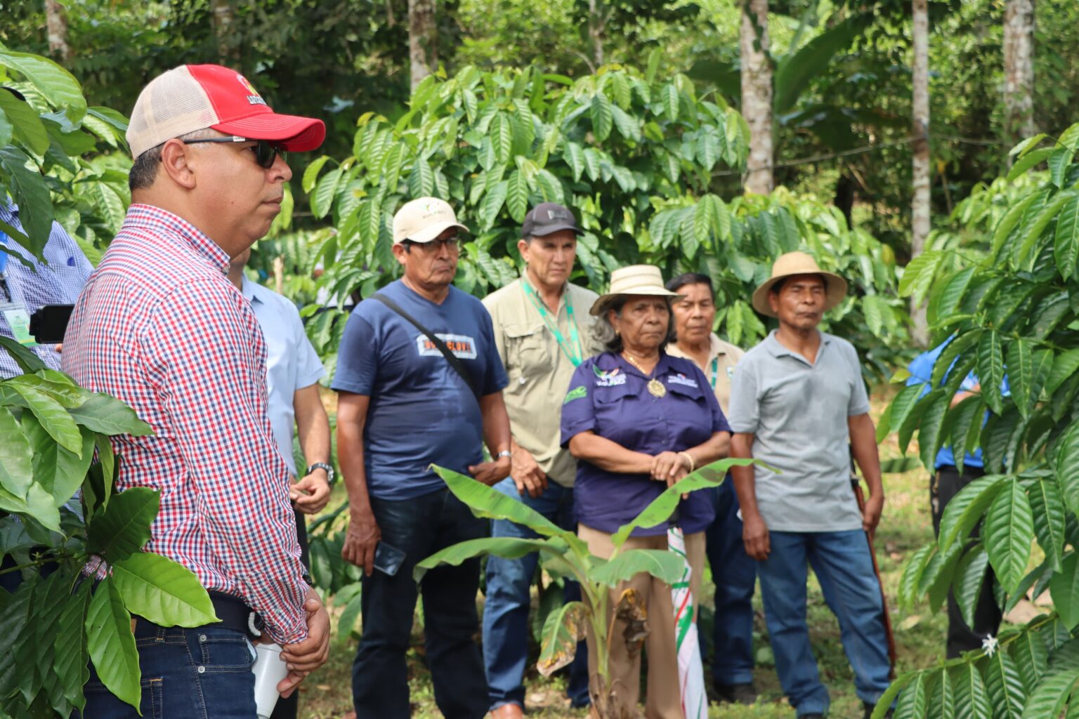 MIDA y CATIE realizan gira de trabajo en Panamá Oeste para potenciar el ...