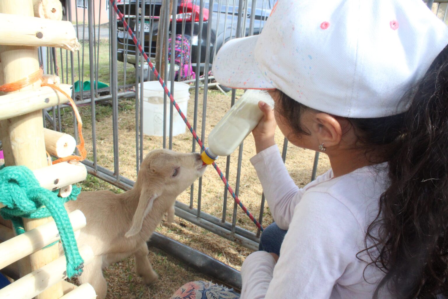 El MIDA participa en feria caprina en Panamá Oeste - Ministerio de ...