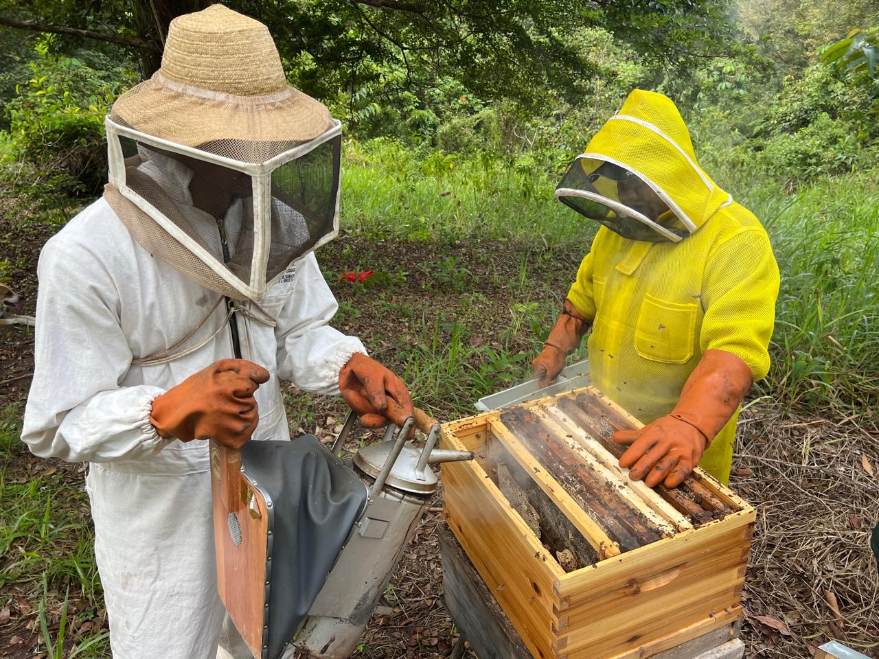 MIDA brinda seguimiento a módulo apícola entregado a joven rural de ...
