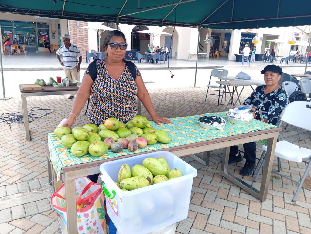 Productores de Panamá Oeste destacan en la Feria del Mango con respaldo ...