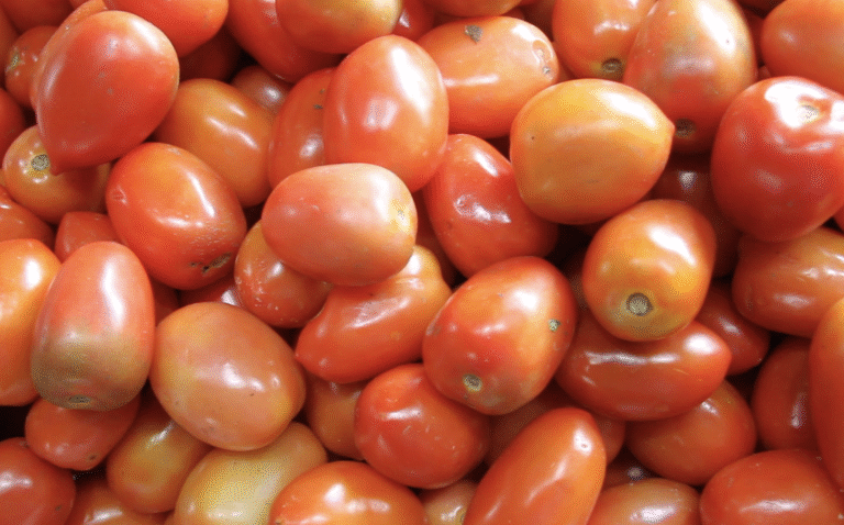 Hacia un agro más competitivo, Panamá alcanza incremento histórico a la ...