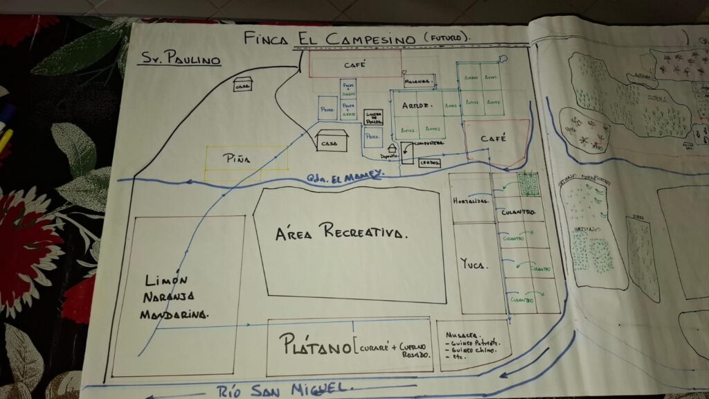 MIDA establece cuarta finca demostrativa de proyecto PIASI en Coclé ...