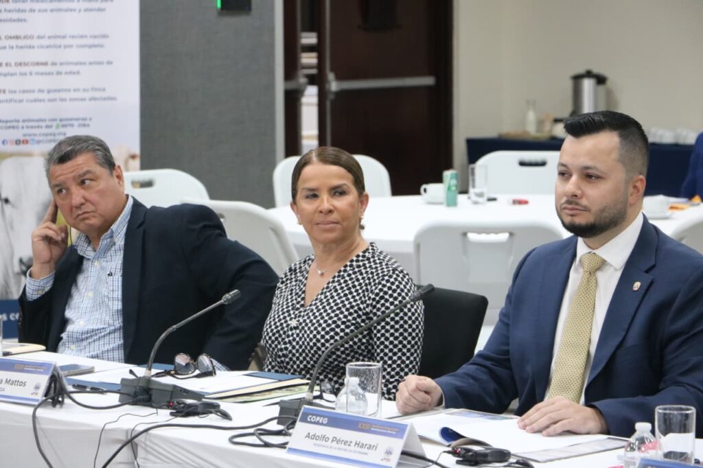 COPEG reafirma compromiso binacional en la lucha contra el Gusano ...
