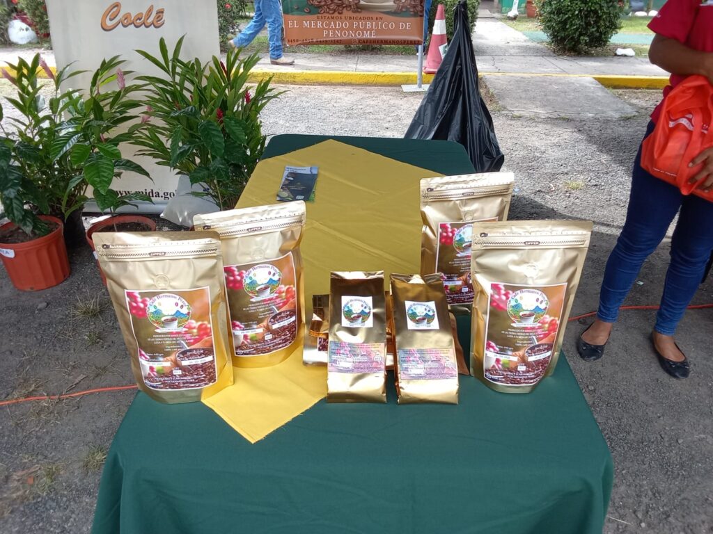 MIDA de Coclé se unió a celebración del Día Mundial del Café en Panamá ...