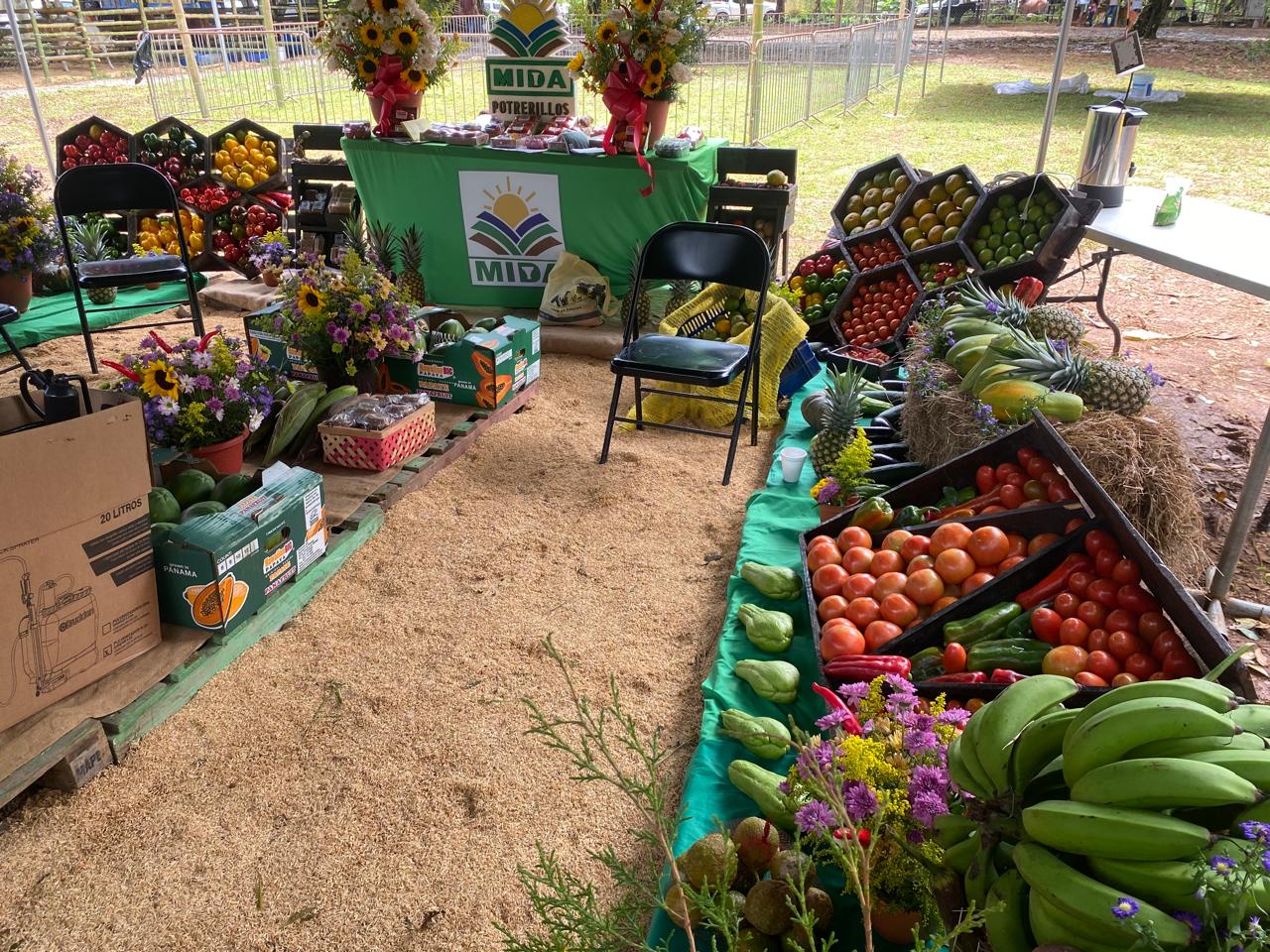 MIDA participa con capacitaciones en la feria de Dolega - Ministerio de ...