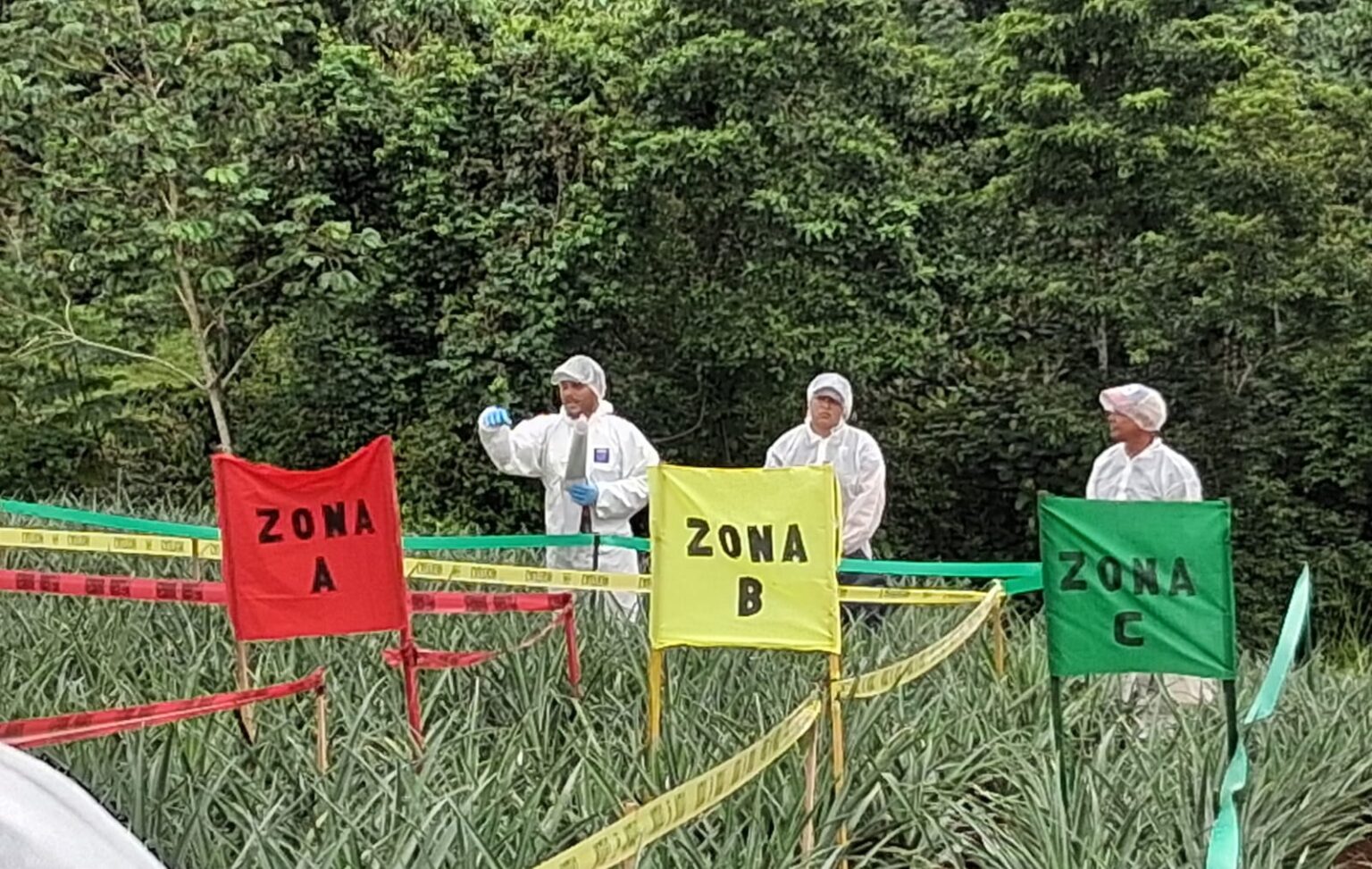 MIDA realiza simulacro para la prevención de plaga que afecta a los ...