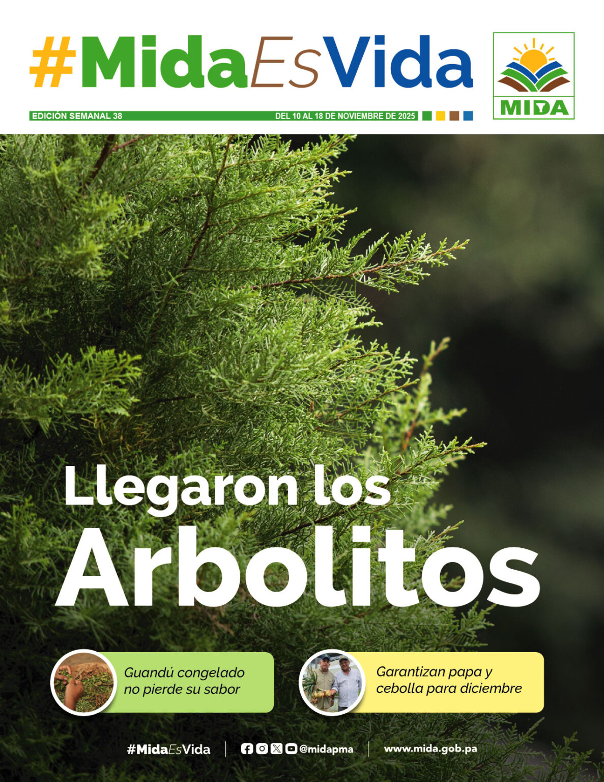 Revista Mida Es Vida 2025 - Ministerio de Desarrollo Agropecuario