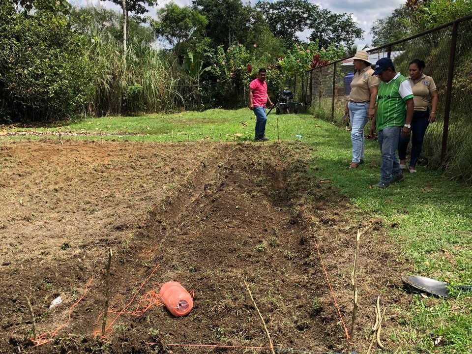 Huerto escolar en Quebrada Ancha, ejemplo de sostenibilidad ...
