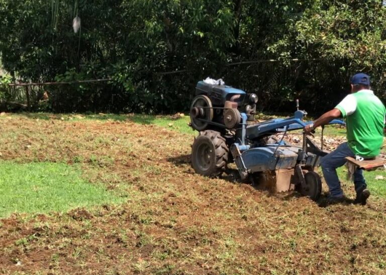 Huerto escolar en Quebrada Ancha, ejemplo de sostenibilidad ...