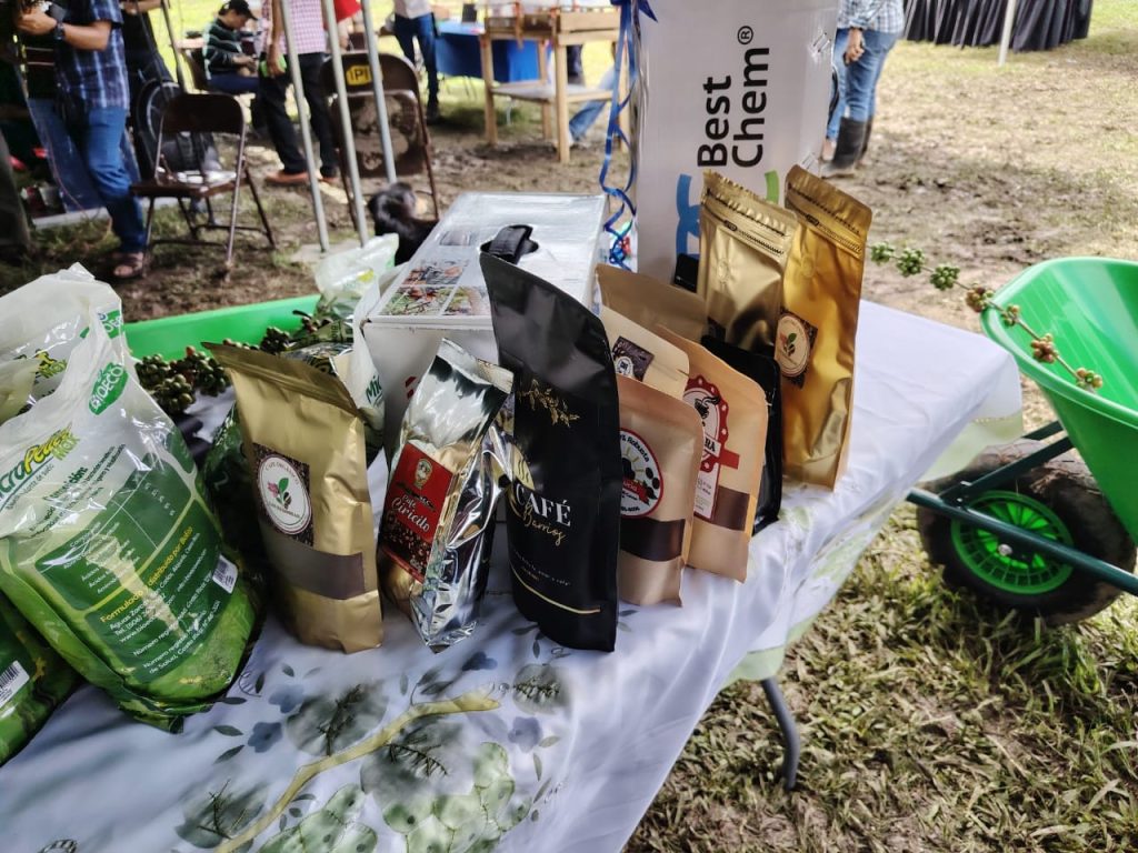 Capira se consolida como referente cafetalero con la celebración de la ...