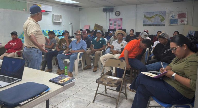 Estudiantes agropecuarios elaboran abonos orgánicos con asesoría de ...